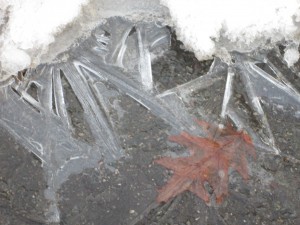 Present Moment – Patricia Wild