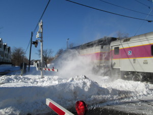 Showing Up – Patricia Wild