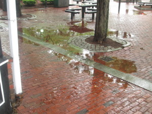 “Water is everything.” – Patricia Wild